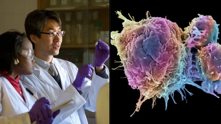 Scientists have engineered Nanomachines to kill cancer cells