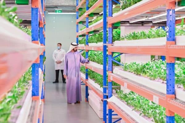 HH Sheikh Mohammed bin Rashid tours the world’s largest vertical ...