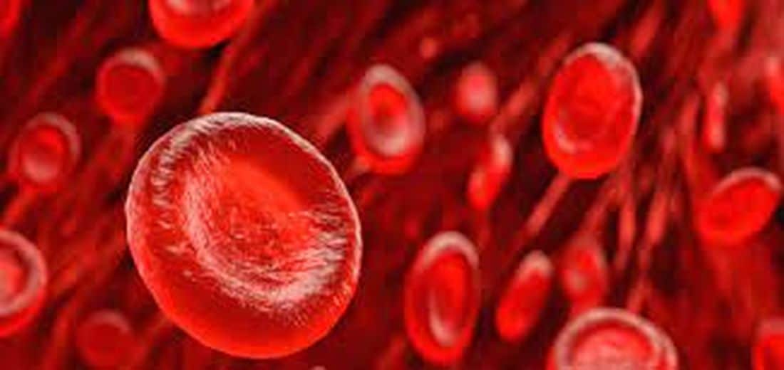 Clinical trial on artificial blood cells to begin in Japan