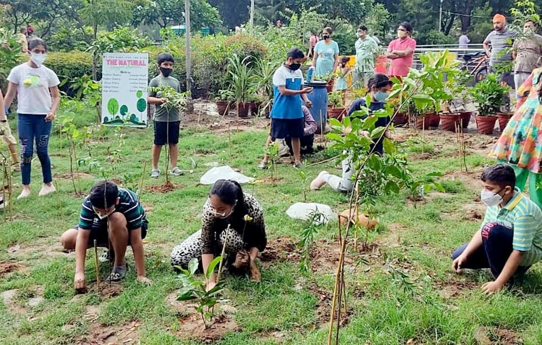 India’s green cover campaign crosses one billion tree-plantings