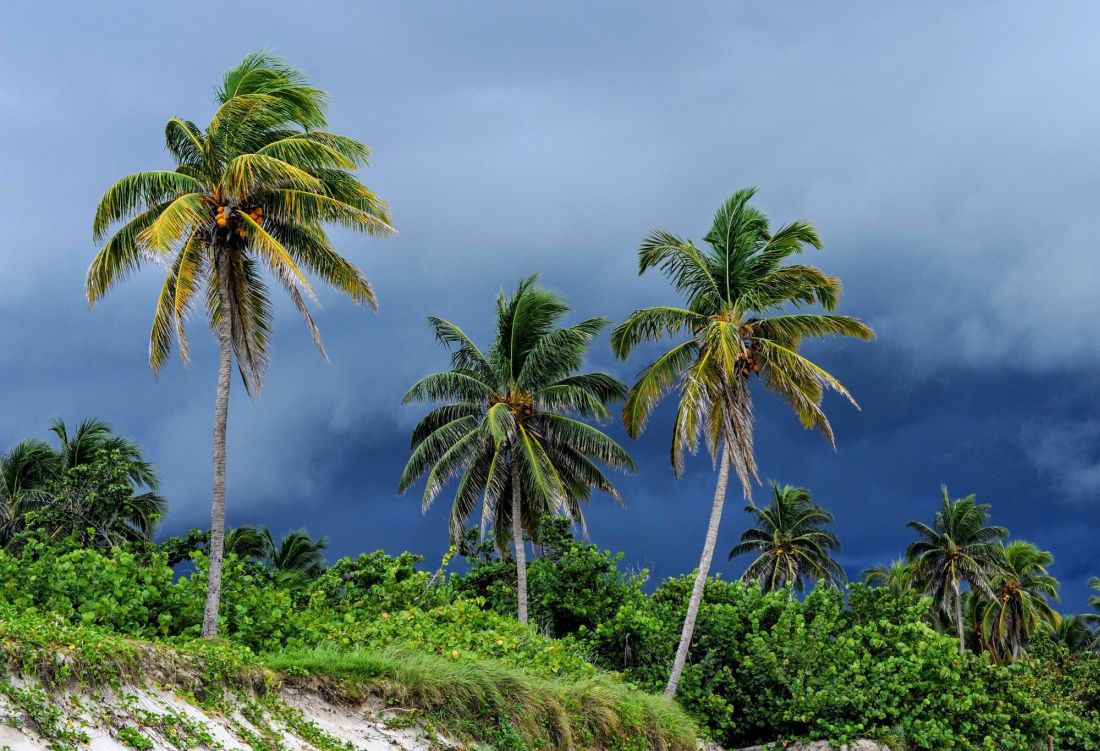 UAE weather update on tropical system