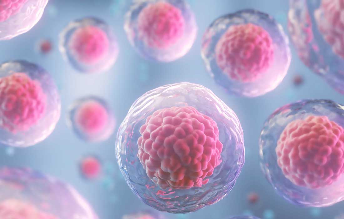 Spaceflight stem cell ageing discovery