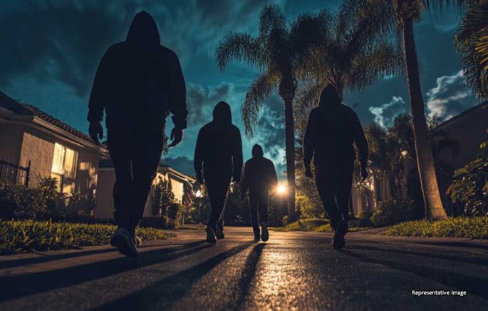 Dubai Police crime arrest dismantles gang