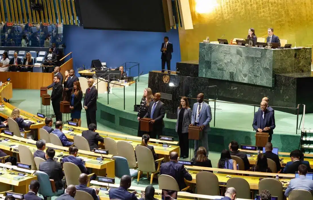 Five nations elected to UN Security Council